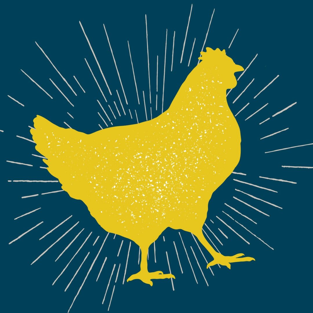 Comet Chicken | Tenders, Salads, Sandwiches